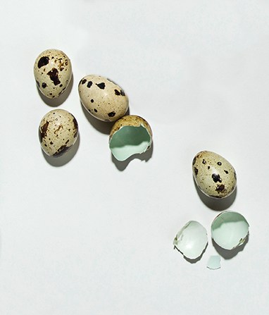 Types of Eggs | Sous-Vide Magazine